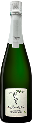Découvrez nos cuvées de champagne - Champagne Moutaux